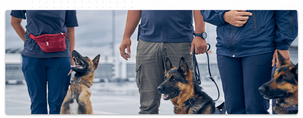 Métier Agent de constatation des douanes - Culture et Formation